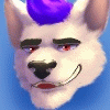 maxshfoff