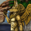canisaureus canisaureus